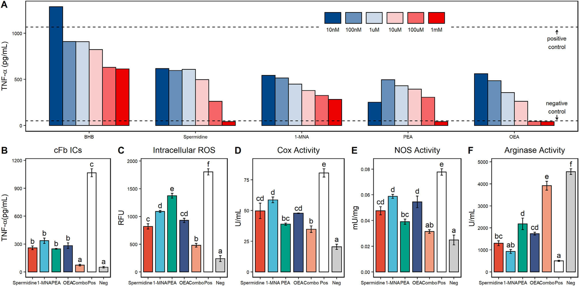 Combination of Spermidine and other ingredients for Lifespan